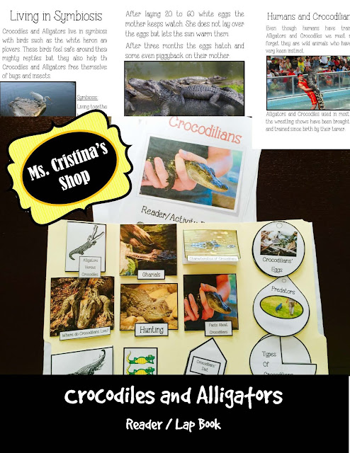 The Hermit Crabs Homeschool: Crocodilians Lap Book