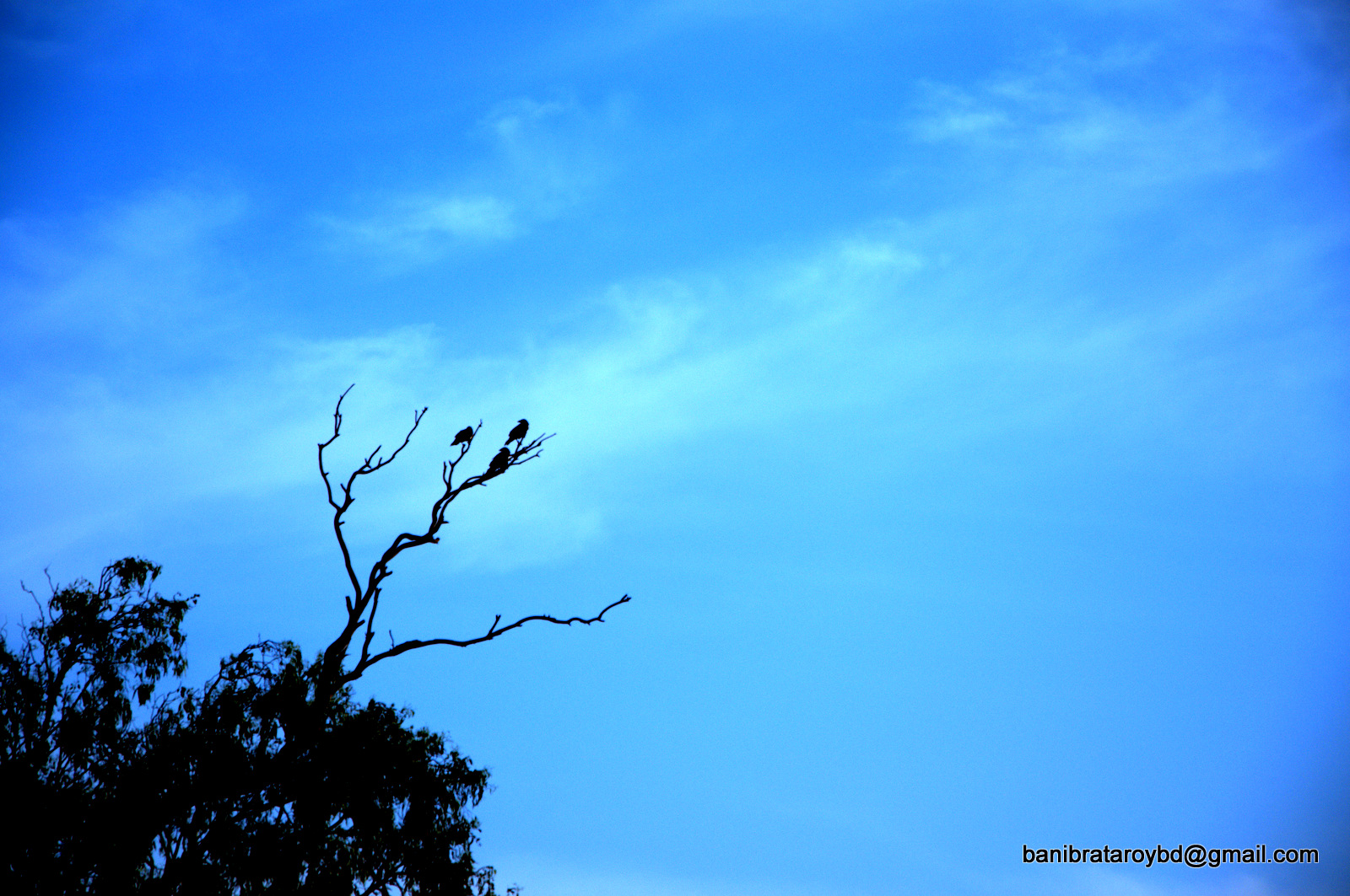 resonance of africa: Bunia: A vibrant city of Eastern Congo (an aerial ...