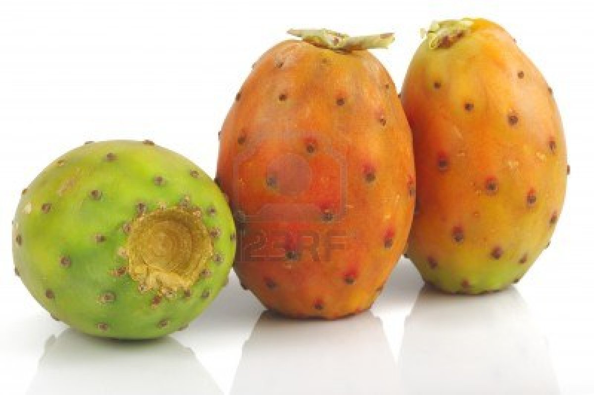 =D Karely's =D: Plan de Clase No. 2 “Ecuador, un país agrícola”