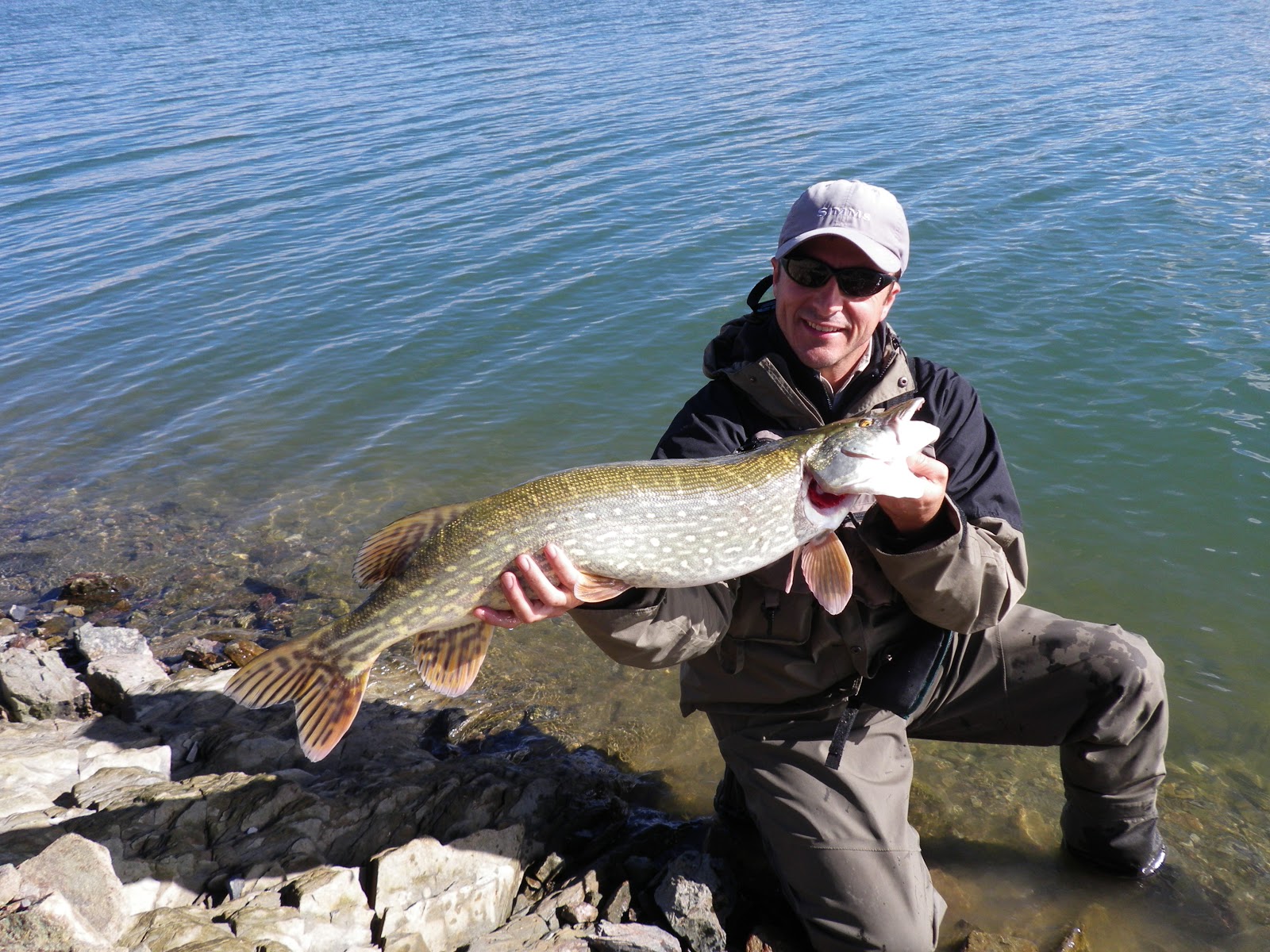 ONLY FLY FISH: LUCIO/PIKE/ESOX LUCIUS