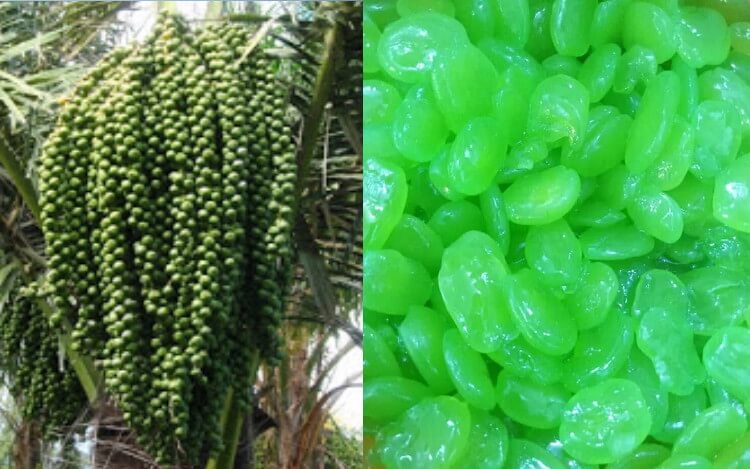 7 Manfaat Buah Kolang-Kaling bagi Kesehatan - Santos Blog