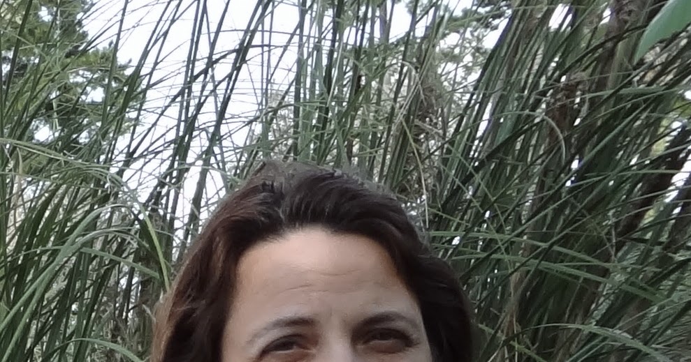 A.L. Davroe: Feature Friday: Robin Bridges