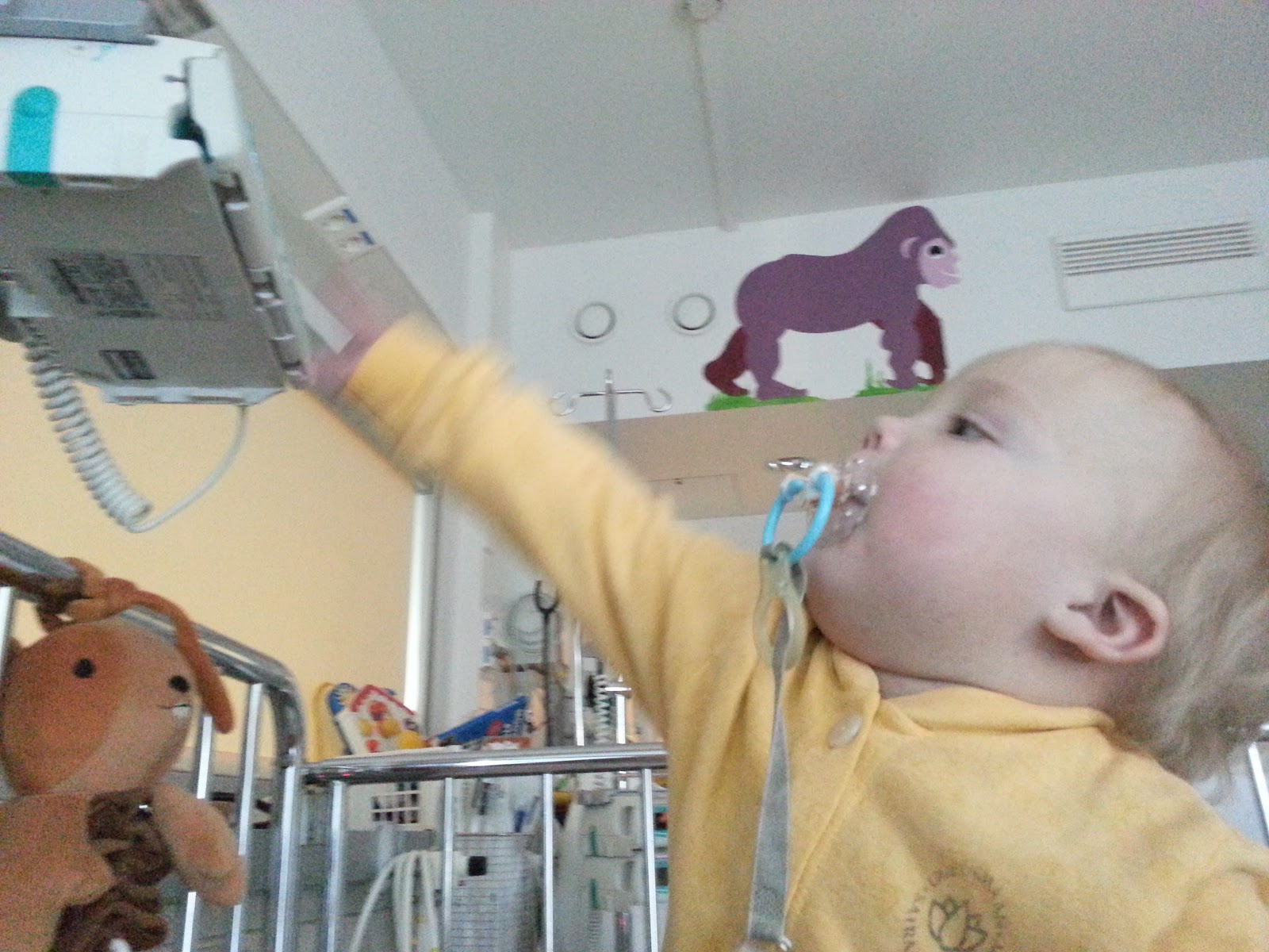 Toivon tarina: ct- kuvaus ja nappi reissu, päivä 2