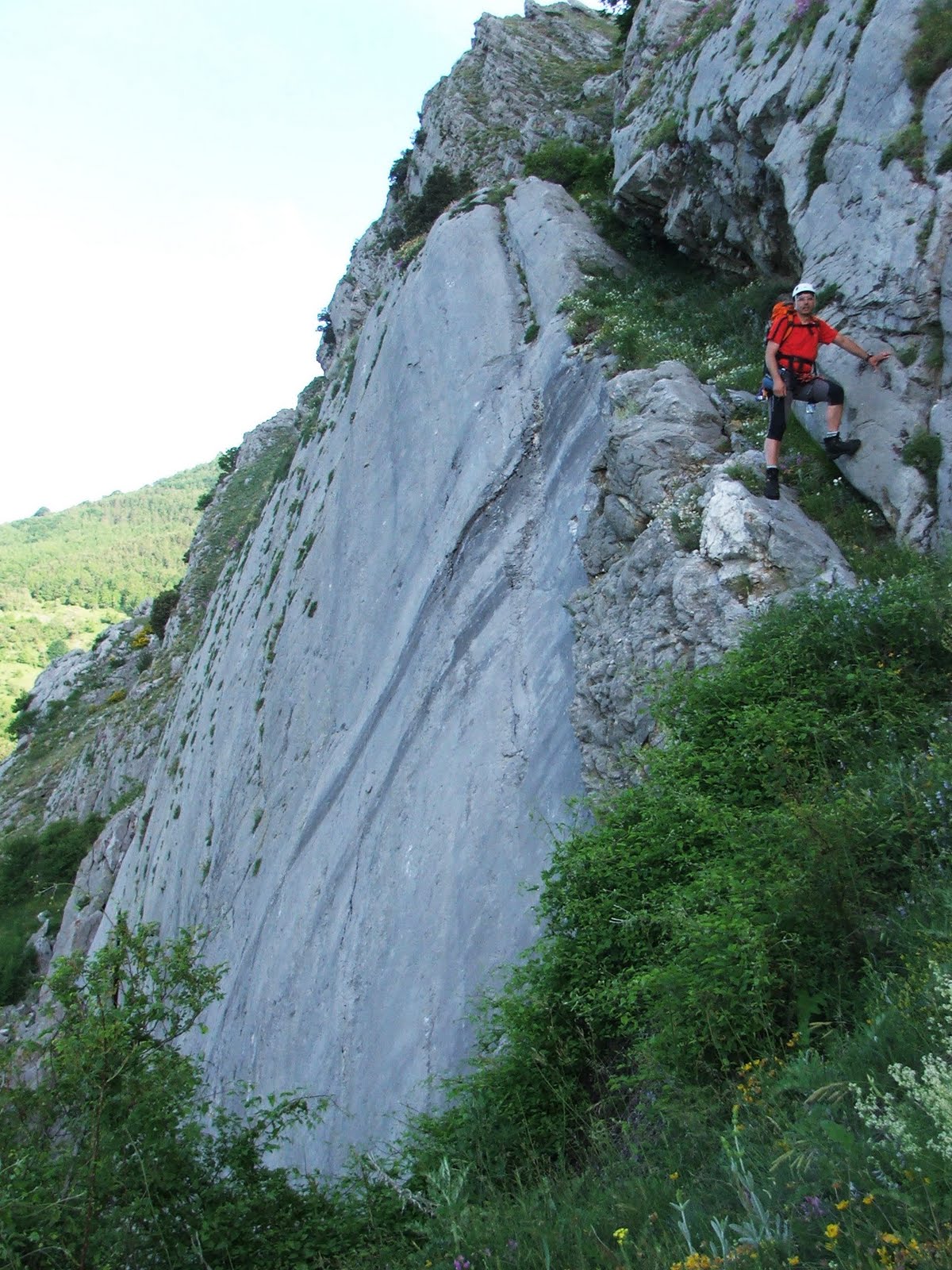 POLLINOFANTASTICO: L'anello della Falconara