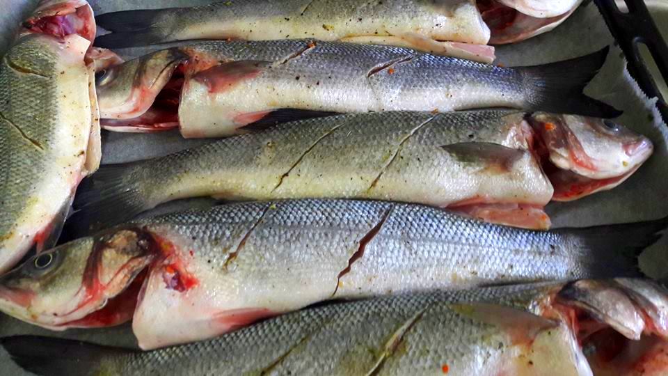 TAHİN SOSLU FIRINDA LEVREK (“Tajin Samak Bi Tahina”) | GÜLO ANNE MUTFAKTA