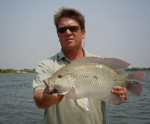 News from Southern Africa & Namibia: Namibia: update from Kalizo Lodge ...