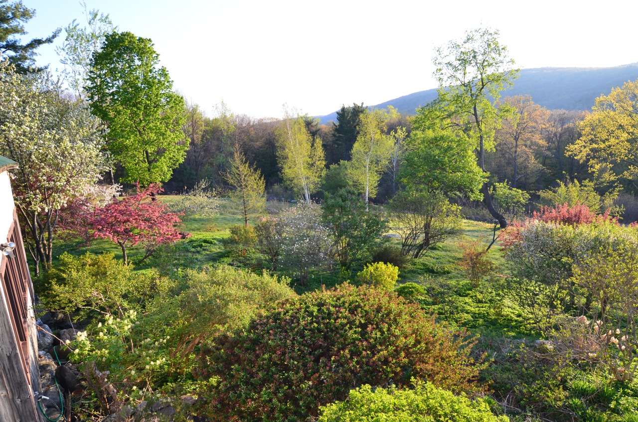 Flower Hill Farm: Sweeping Spring Landscape ~ Leafy and Feathery Flames ...