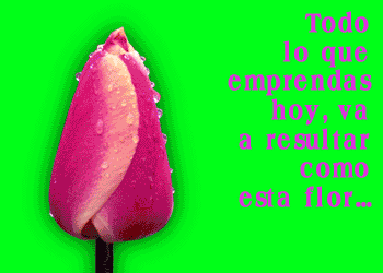 Imágenes gifs con frases de ánimo