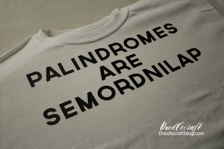 Funny Palindromes T-Shirt!