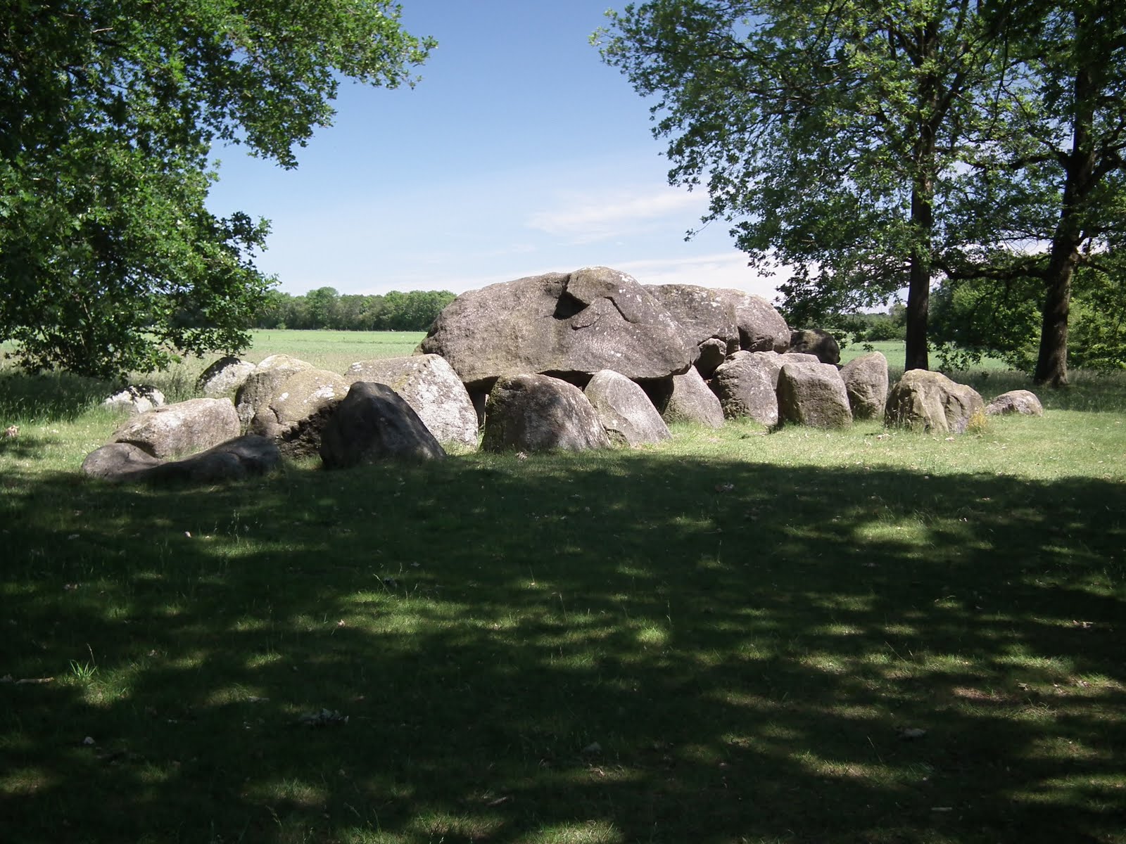 Happenings at Jello's House: Exploring the forests and history of Drenthe