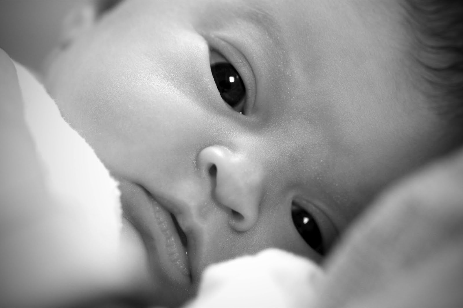 TODD and ANNIE: Lucy Jane Crowther