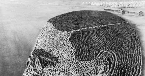 Los Grandes Fotografos: Arthur Mole (1889-1983)