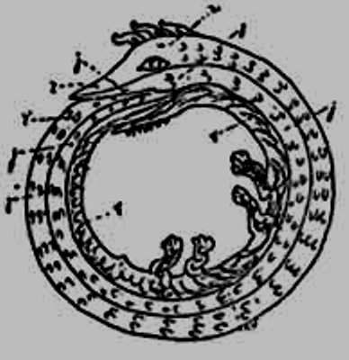 IMAGENES Y TEXTOS SELECTOS: SIMBOLO DEL UROBOROS u OUROBOROS