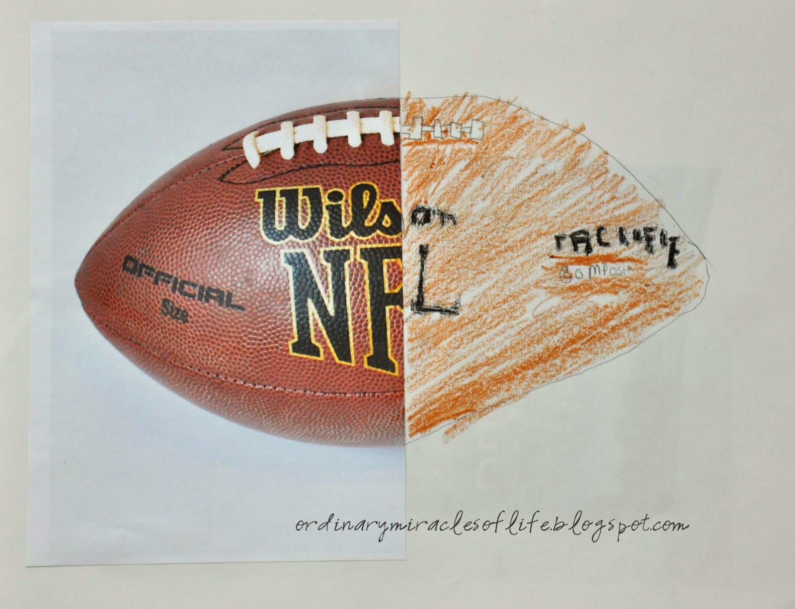 Ordinary Miracles of Life: Art for Kids