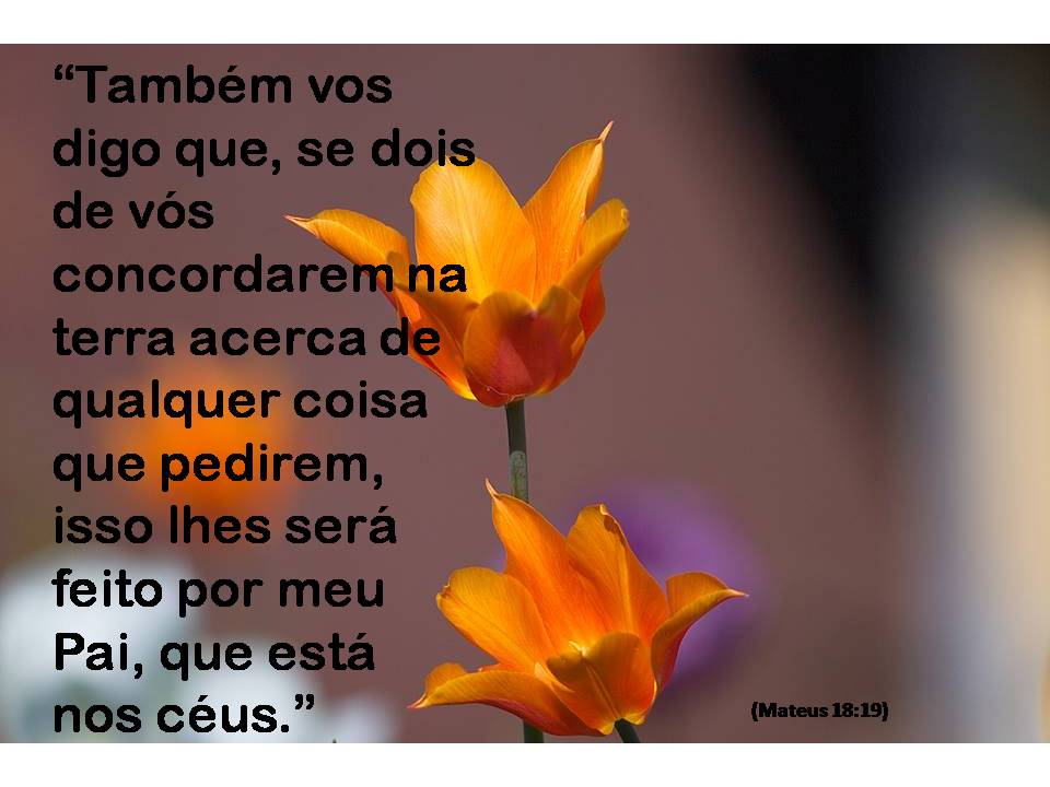 A Mão da Vida: Promessa