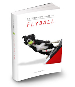 Flyball Prop-a-Ganda flyball blog: Ten Best Things About Flyball in 2010
