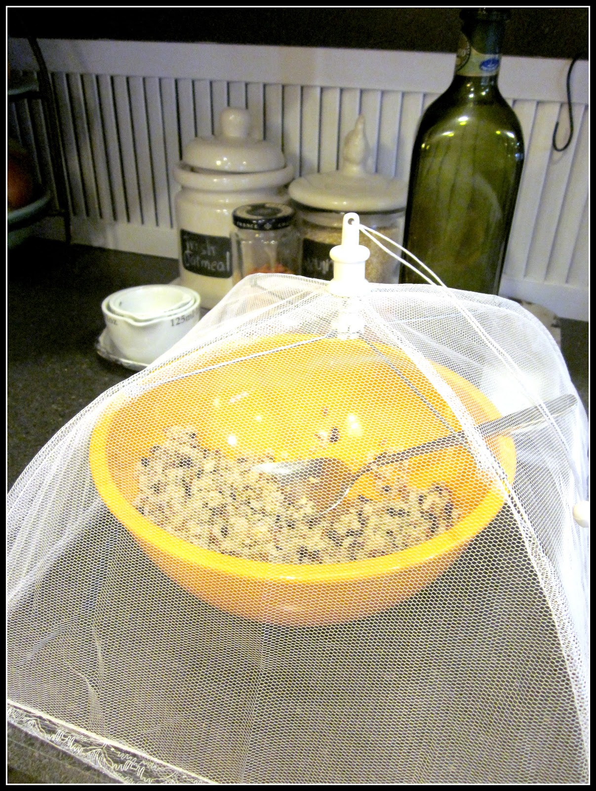 Keep the Bugs Off Your Food!