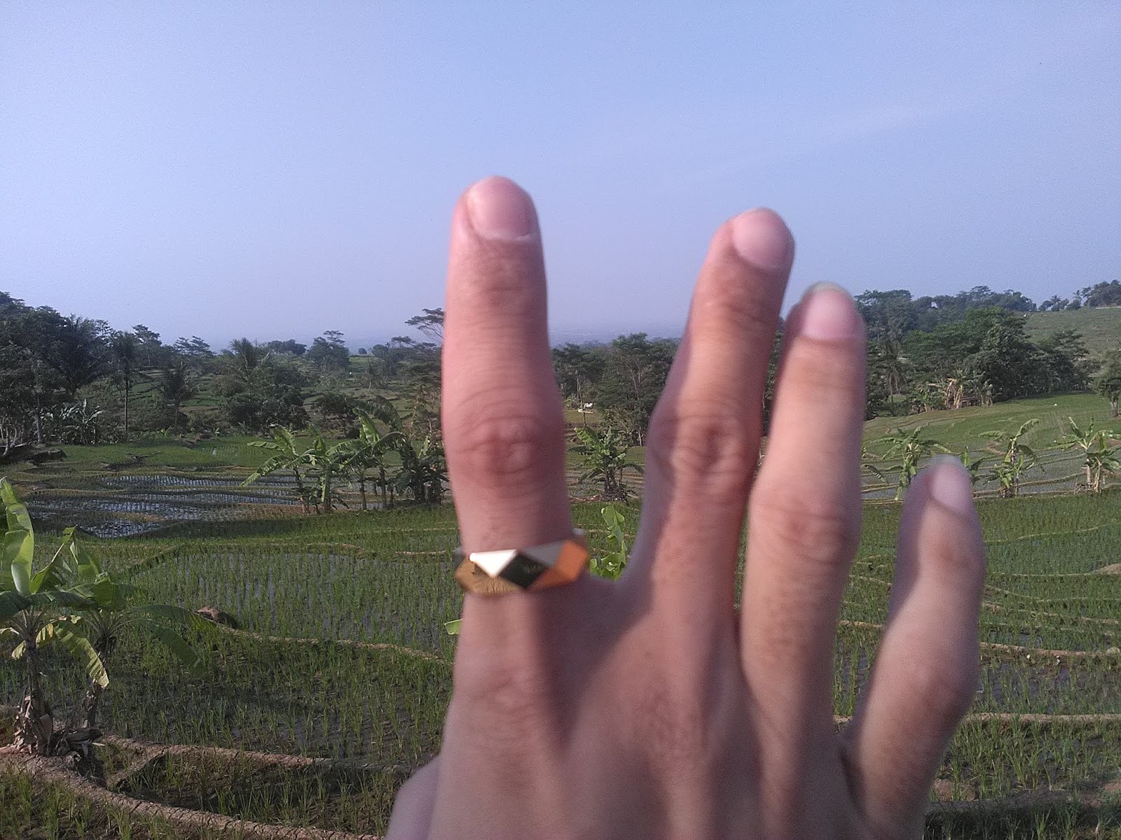 Cincin Tungsten: cincin tungsten warna gold