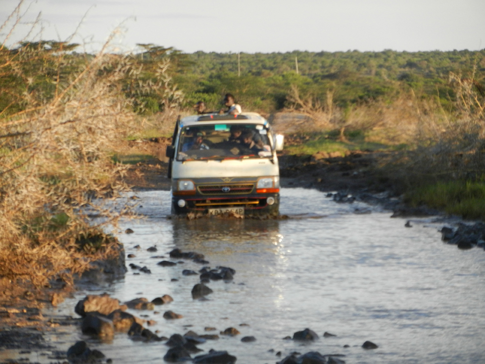 Nomadic Chameleon: Maralal Safari