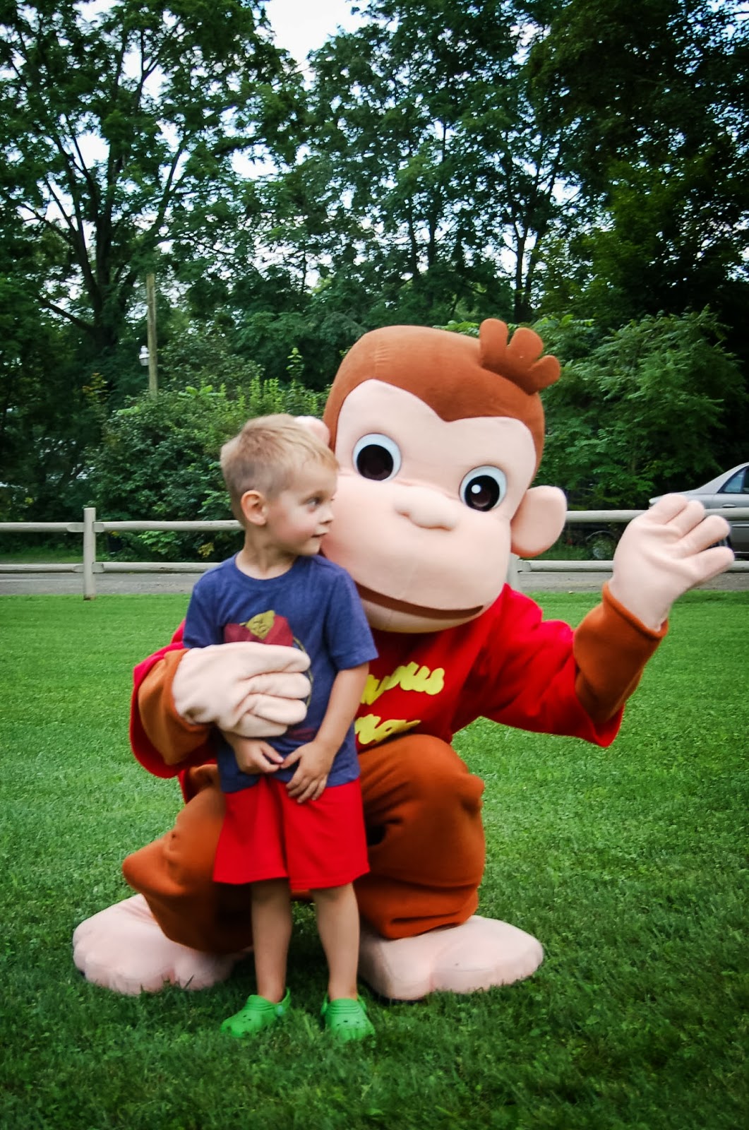 The Buddy Bee Makes Three: Buddy Bee Meets Curious George