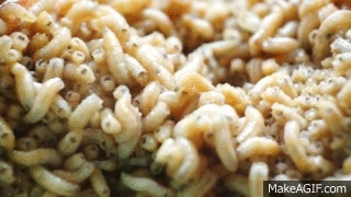 Casu Marzu - Phô mai giòi, Đặc sản của Italy - Quinhon11