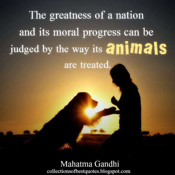 Collections Of Best Quotes: Greatness nation