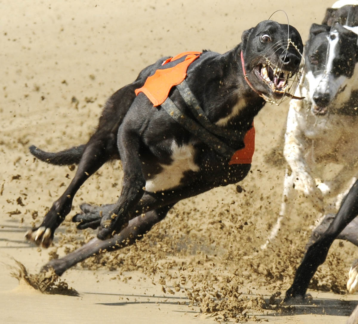 Chris Allsopp Racing Blog: December 2012