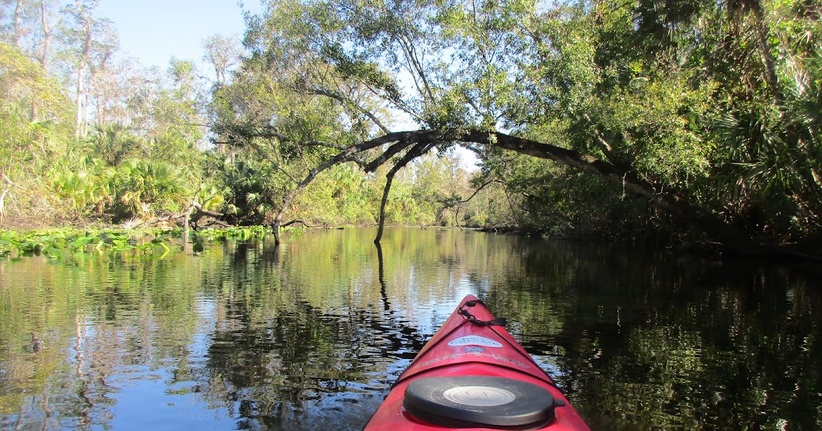 Dave's Yak Tales: Wekiva River and Rock Springs Run