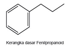 FENIL PROPANOID