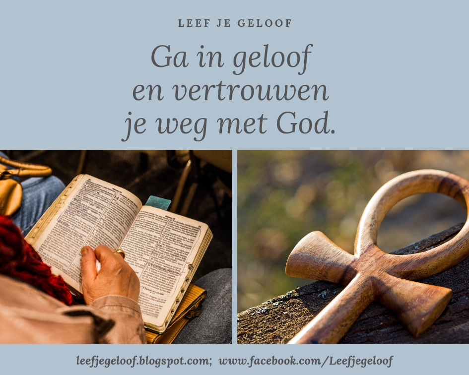 Leef je geloof: Ga in geloof en vertrouwen