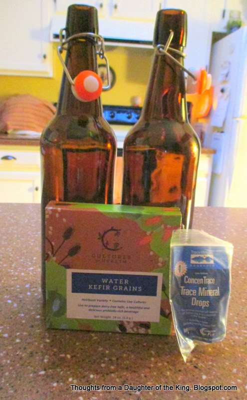 Thoughts from a Daughter of the King : It's {Easy} To Make Kefir