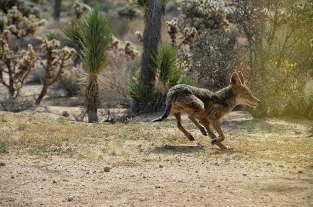 karine's blog: May 2014