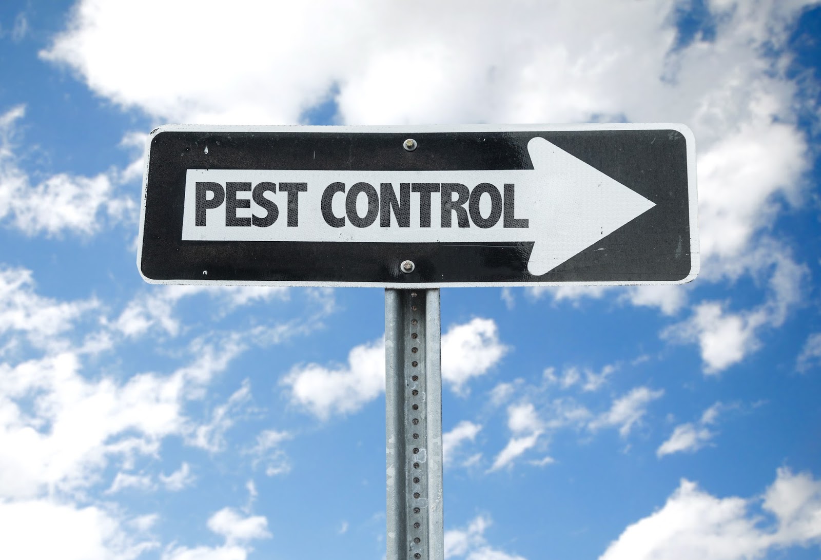 American Pest Management: Professional Pest Control Makes For the Best ...
