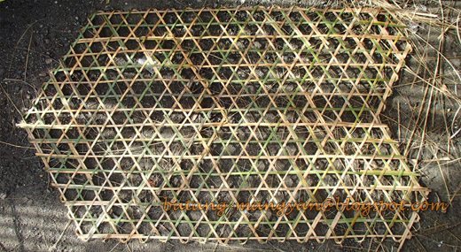 Batang Mangyan: Bamboo Fish Trap (Bubu / Bubo)