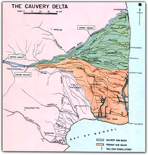 KIND ATTENTION CIVILIZATION: DELTA IN DANGLE (Agricultural Crisis of ...