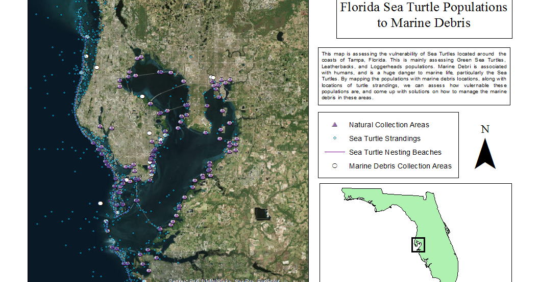 Mapping the Vulnerability of Florida's Sea Turtle Populations to Marine ...