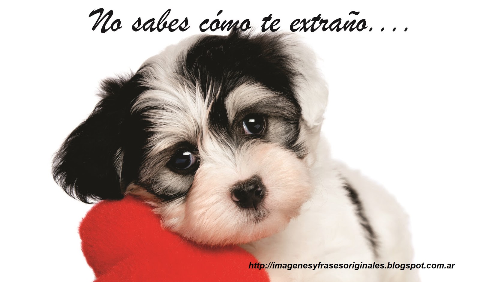 Imágenes y Frases para Ti.: No sabes cuánto te extraño