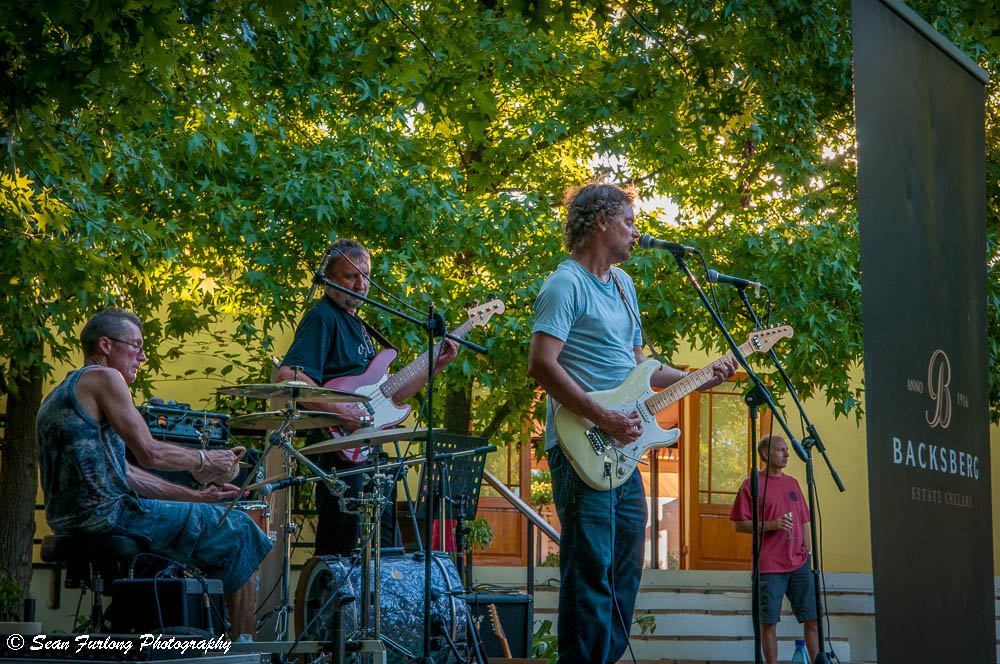 Sean Furlong Photography: Backsberg Picnic Concerts - Robin Auld