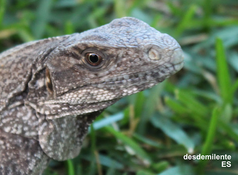 octubre 2011 ~ .:El Salvador desde mi lente:.