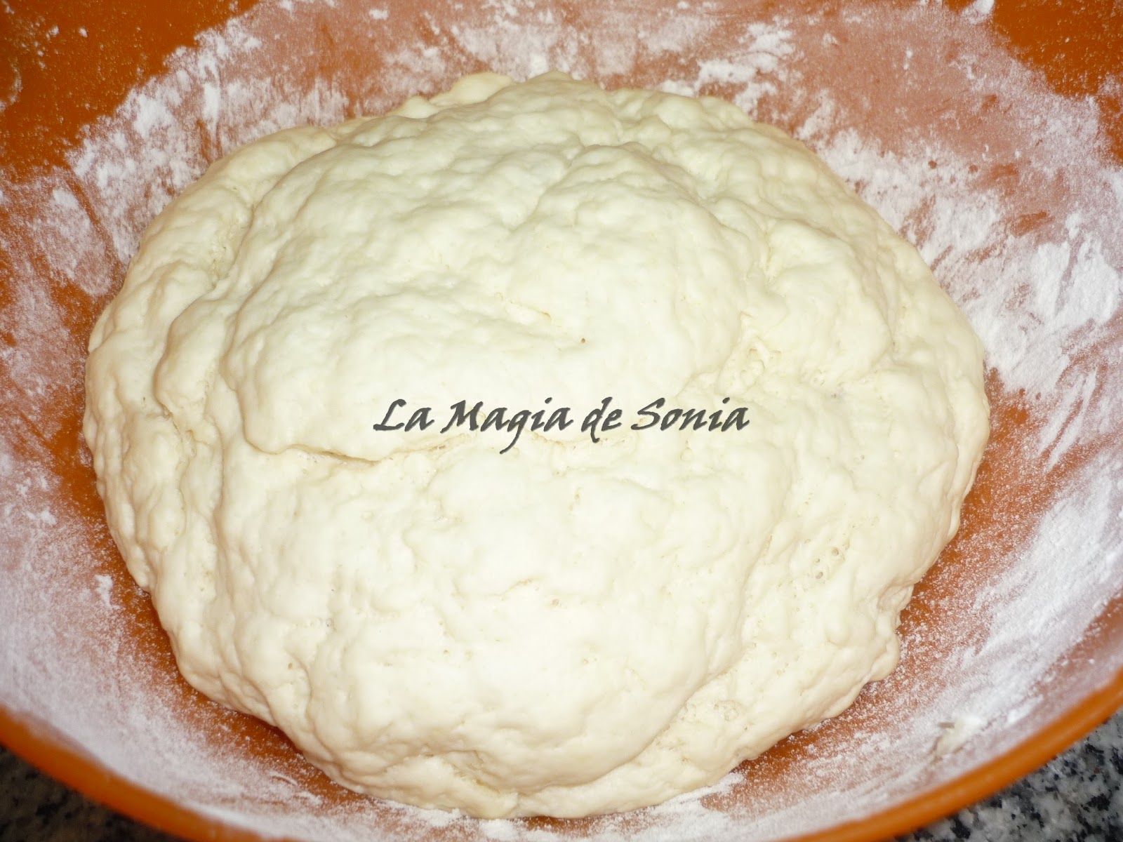 La Magia de Sonia: Pan Sol con Camembert