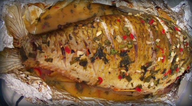 SABOR DE PESCA: DICA CULINÁRIA: RECEITA DE PIAVA OU PIAPARA NO FORNO E ...