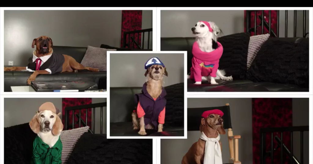 Gravity Falls: "Gravity Paws- Ultimate Fan Video" -- WE ARE THE DOG ...