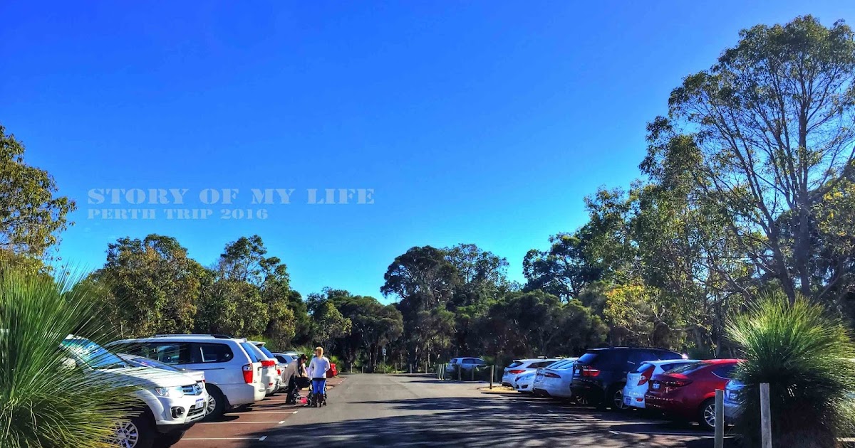 Story of My Life: Perth Road Trip 2016: Caversham Wildlife Park