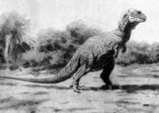 Kasai Rex Dinosaurus Yang Diduga Masih Hidup di Hutan Afrika! - Urban Zone