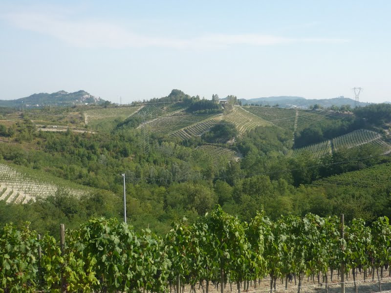 Blog Progetto Mornese: Experiencia de La Valponasca