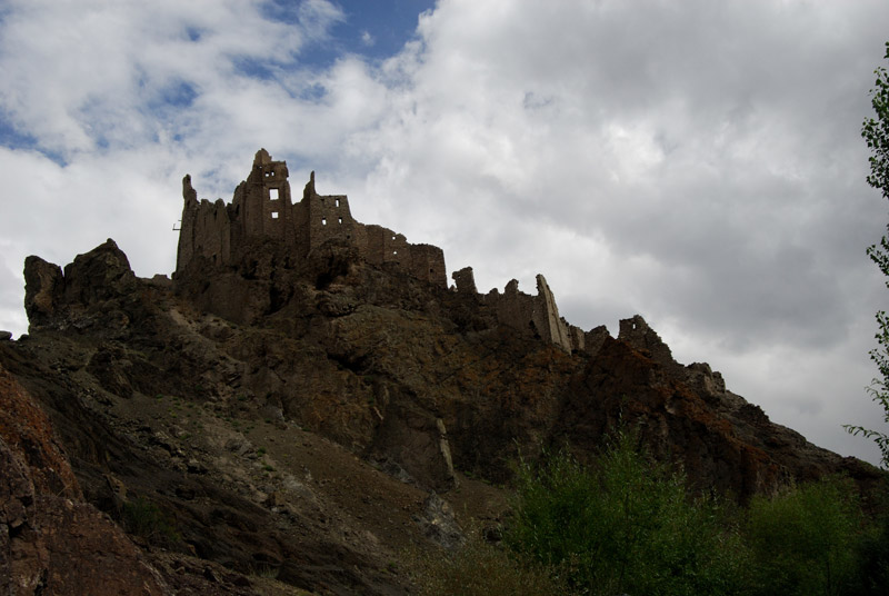 Nature watch: Trip to Cold Desert - Ladakh Part2