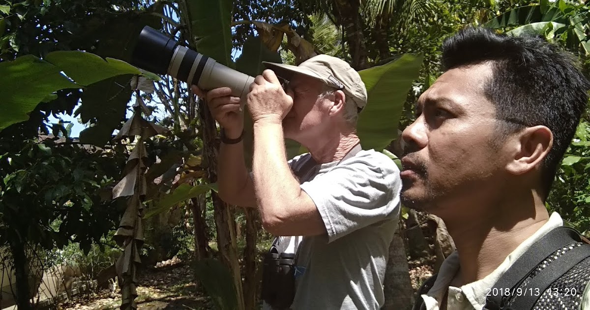 Birding Tours in Bali