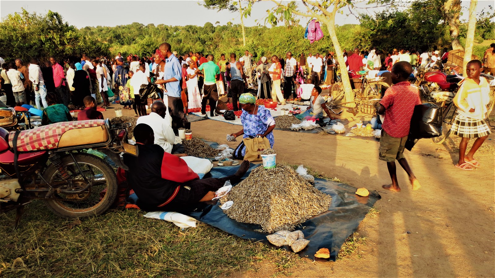 Welcome: Uganda - Fourth week