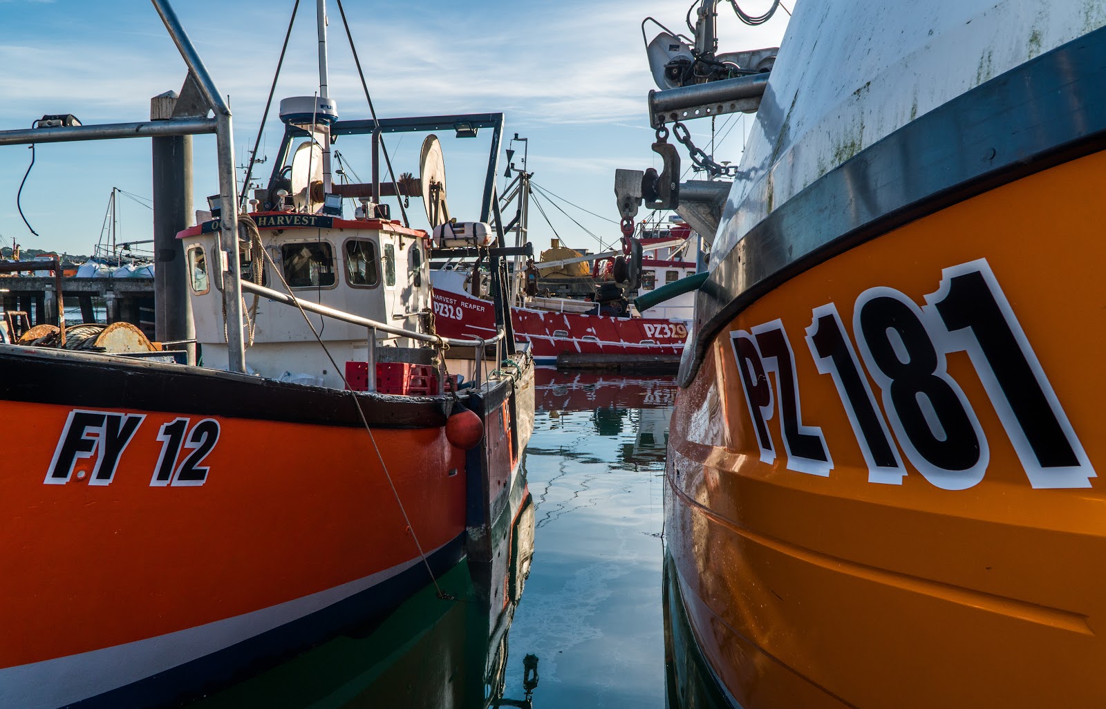 Through the Gaps! - Newlyn Fishing News: Mid-week fish market in Newlyn ...