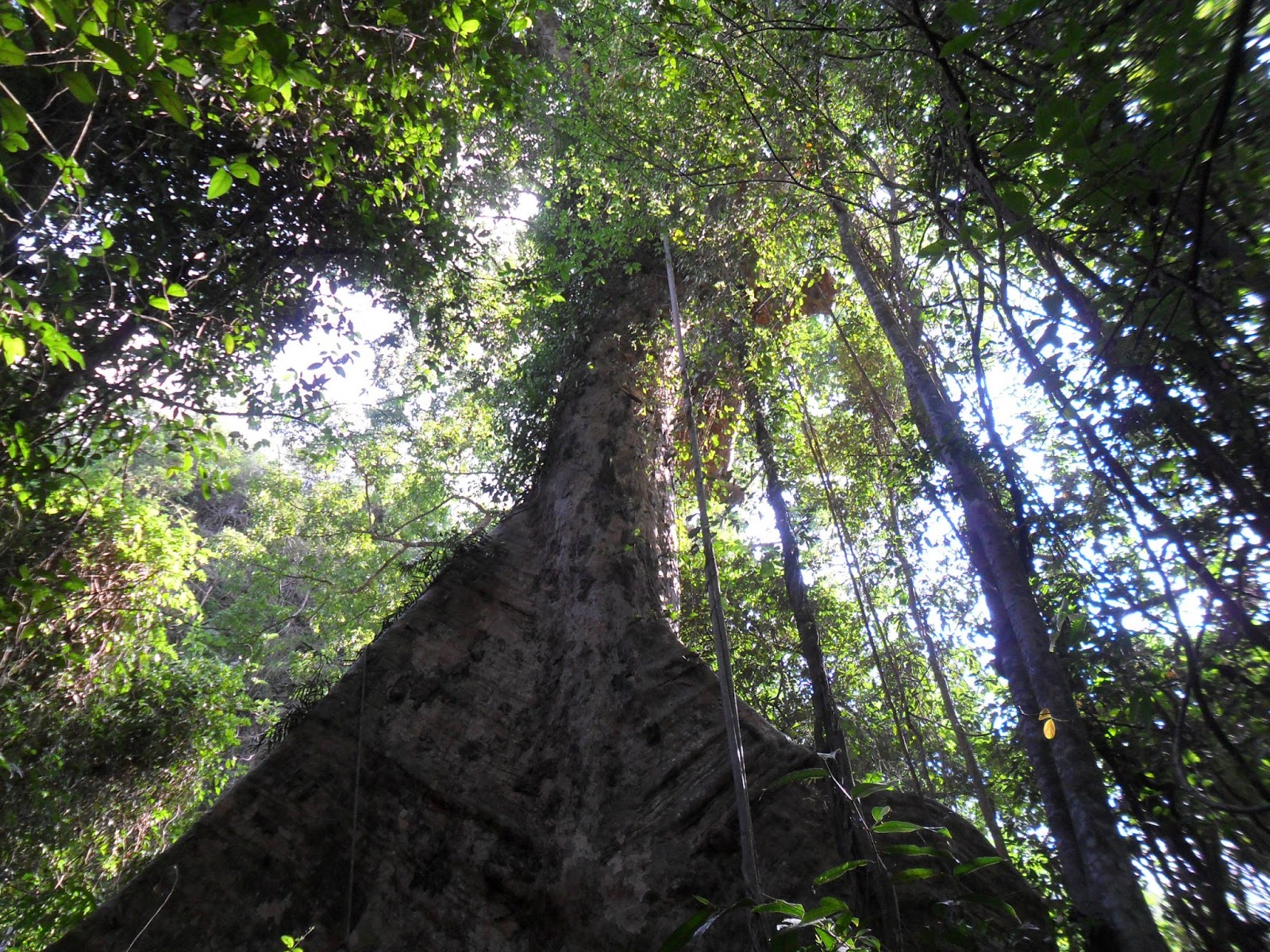 Have Fiddle Will Travel: Split Rock of the Philippines: Biak na Bato ...